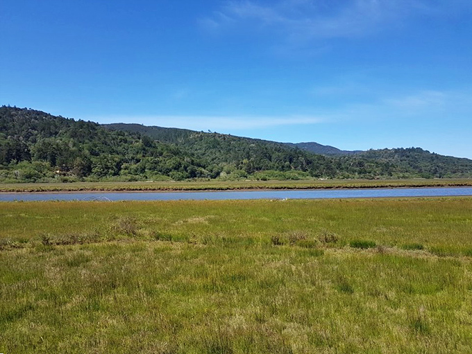 Rolling hills meet the sea like a handshake between old friends who haven't missed a day.