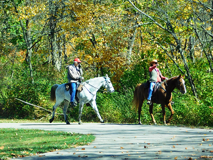 Saddle up for trails that wind through forests, making every rider feel like a frontier explorer.
