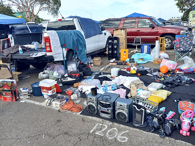 One person's random pile is another's perfect find. This vendor's eclectic collection might contain exactly what you didn't know you needed until this moment.