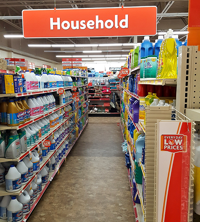 The household cleaning section: where life's messes meet their match and your wallet doesn't need to take a beating.