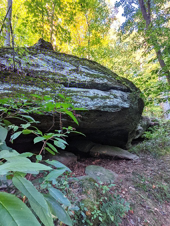 Rock formations that look like nature's architecture. This massive stone overhang has been sheltering woodland creatures since long before humans wandered these hills.