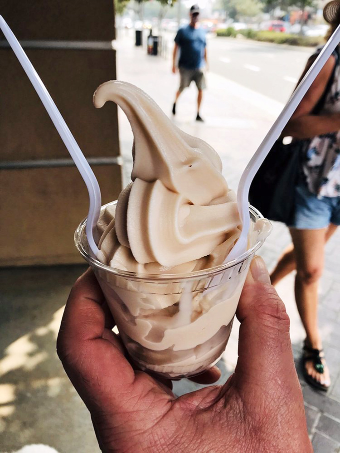 Soft-serve perfection that proves sometimes the simplest pleasures are the most profound.