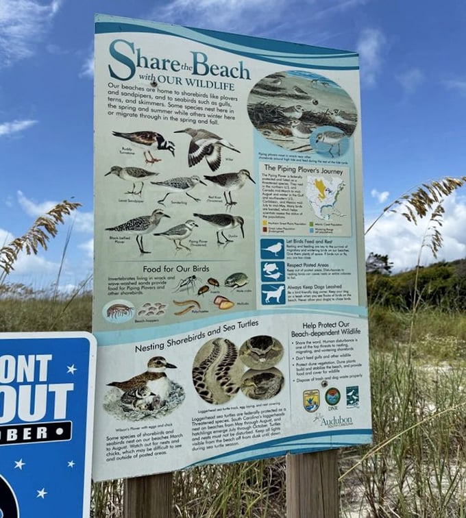 Nature's instruction manual. This sign reminds us we're just visitors sharing the beach with feathered residents who were here first.