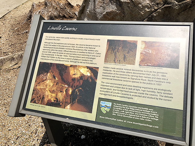 A historical marker that tells the tale of fishermen who followed trout into a mountain and discovered a hidden world beneath.