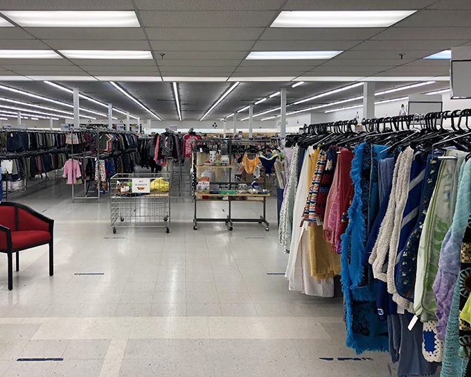 Welcome to the thrifter's version of Narnia, where every rack contains potential wardrobe magic and yesterday's fashion becomes tomorrow's statement piece.