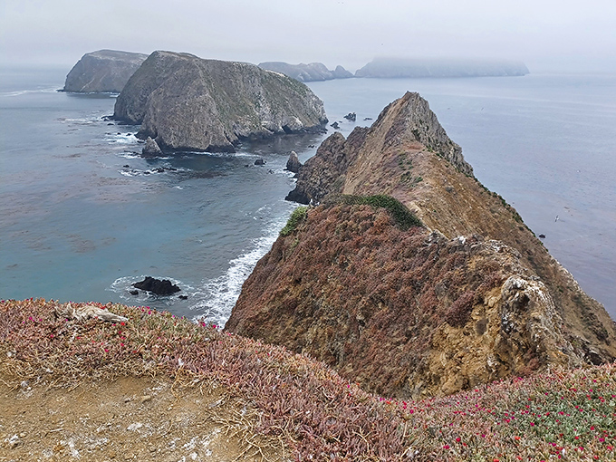 From Inspiration Point, the Channel Islands stretch out like stepping stones across the sparkling sea.