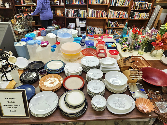 Dish paradise! Every plate tells a story, and at these prices, you can afford to listen. Grandma would approve of these practical kitchen finds.
