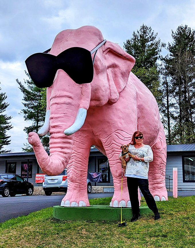 Four-legged friends seem equally mesmerized by Ellie's pink presence, proving that roadside wonder knows no species boundaries in Cookeville.