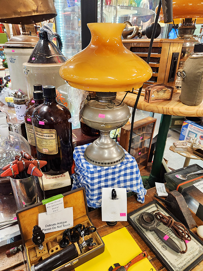 Vintage lamps and antique bottles huddle together like old friends at a reunion, each with stories to tell if you're patient enough to listen.