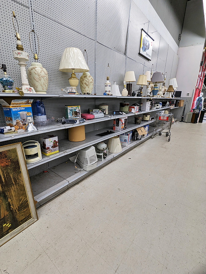 Lamps of every era wait patiently to illuminate someone's home for a fraction of retail cost.