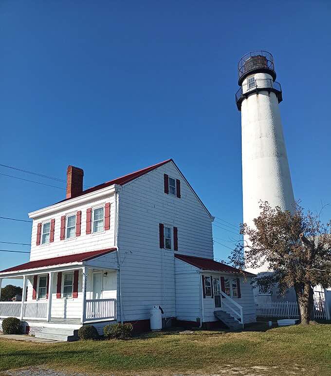 The classic red-and-white color scheme isn't just patriotic &ndash; it's practical maritime design that's aged better than most '80s fashion choices.