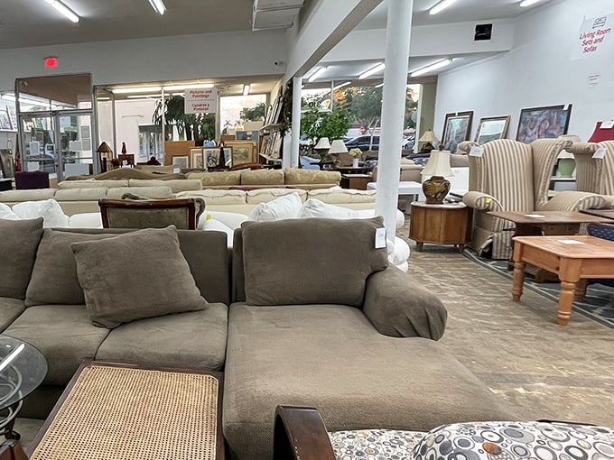 Furniture showroom or time machine? These sofas have stories to tell, and at these prices, you'll want to listen. Comfort with character included.