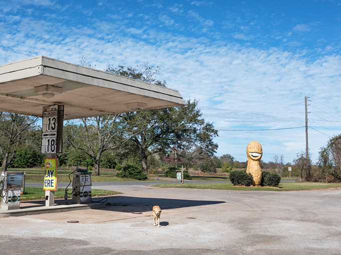 Even motorcyclists can't resist the allure of the giant peanut. Bikers and legumes &ndash; an unexpected friendship blooming in rural Georgia.