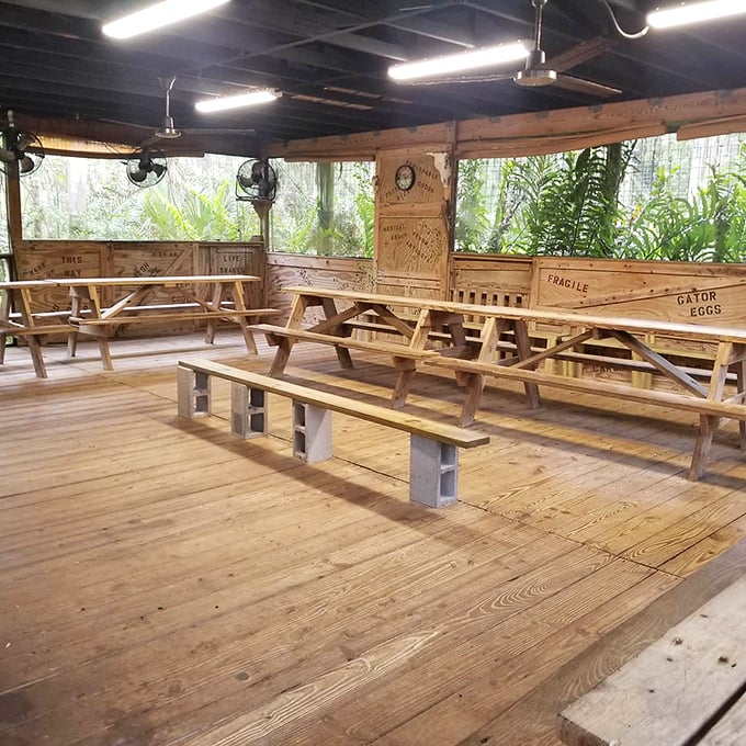 Rustic seating area that screams "old Florida charm." Those wooden benches have probably heard more corny alligator jokes than anyone should admit.