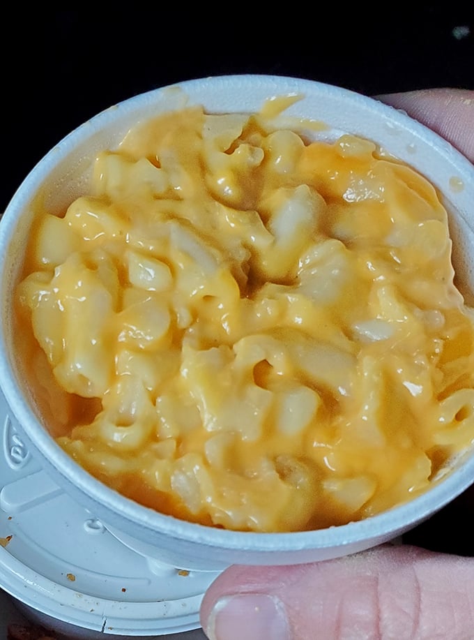 Mac and cheese that doesn't pretend to be gourmet&mdash;just honest, creamy comfort that takes you straight back to childhood bliss.