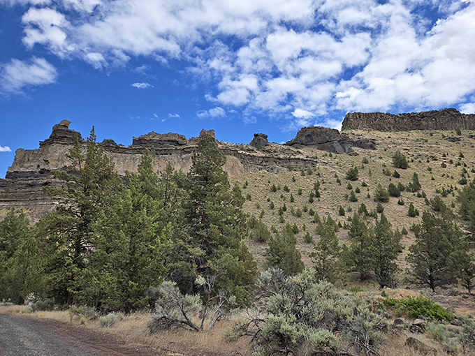 Canyon walls rise like nature's skyscrapers, showcasing millions of years of geological history in layers that would make any architect jealous.