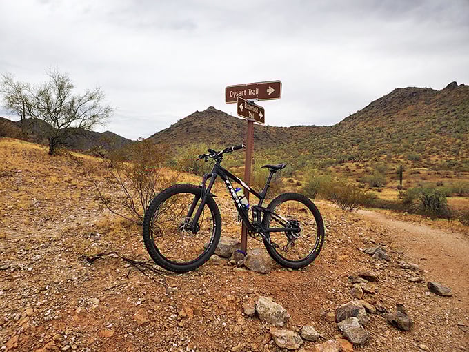 Two roads diverged in a desert park, and this mountain bike took the one less traveled &ndash; which has made all the difference in finding adventure.