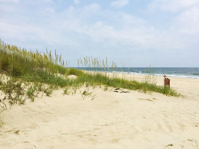 Sea oats dance in the coastal breeze as the Atlantic stretches to infinity. This is Virginia's version of meditation &ndash; no app required.