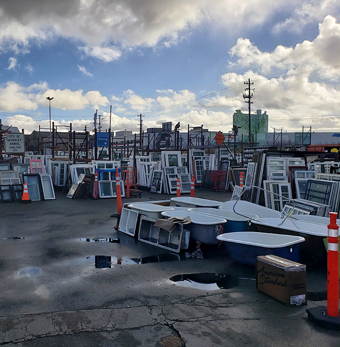 Luggage that's seen more adventures than Indiana Jones sits alongside metal shelving, waiting for its next journey or garage organization project. 