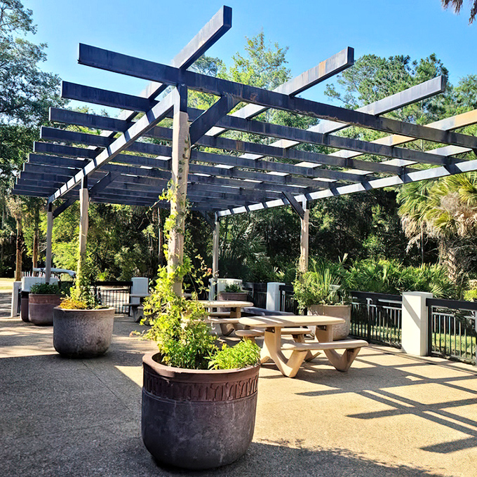 Picnic paradise awaits under this shaded pergola. After swimming in 72-degree spring water, you've earned that sandwich!