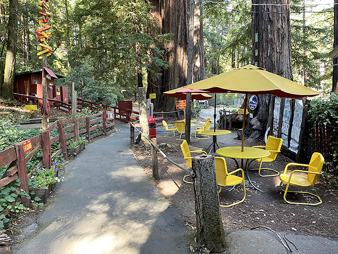 Yellow retro chairs under towering redwoods create a perfect rest stop &ndash; somehow both trapped in the 1960s and utterly timeless.