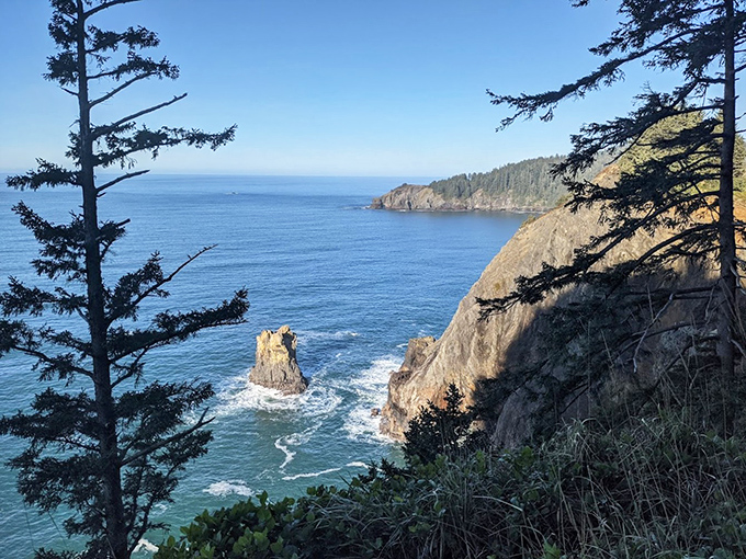 That lone sea stack standing defiant against the Pacific looks like me waiting for the last cookie at a family reunion.