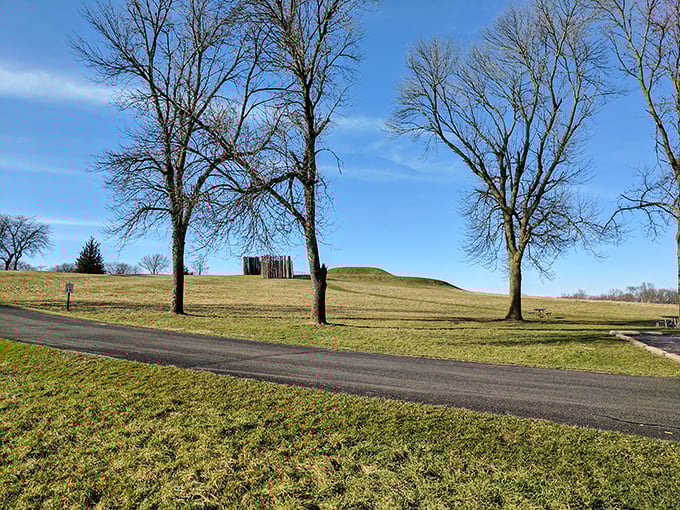 Ancient earthworks and bare trees create nature's sculpture garden. No admission fee at the Metropolitan Museum of Earth could match this.