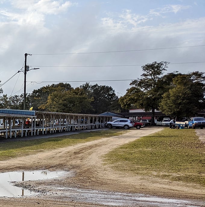 The sprawling grounds accommodate hundreds of weekend bargain hunters. Early birds get the best parking&mdash;and the first crack at undiscovered treasures.