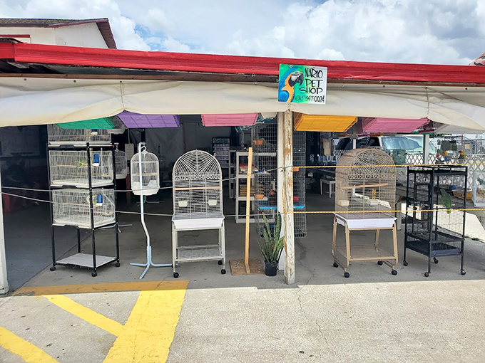 The "Nacho Pet Shop" offers everything for Fido and friends. Bird cages, stands, and supplies that won't force you to eat ramen for a month.