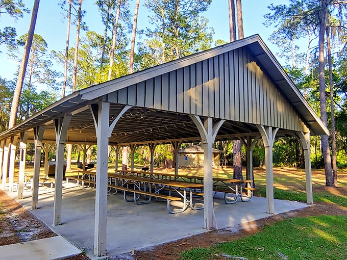 The picnic pavilion&mdash;where potato salad meets primal wilderness and somehow both seem perfectly at home together.
