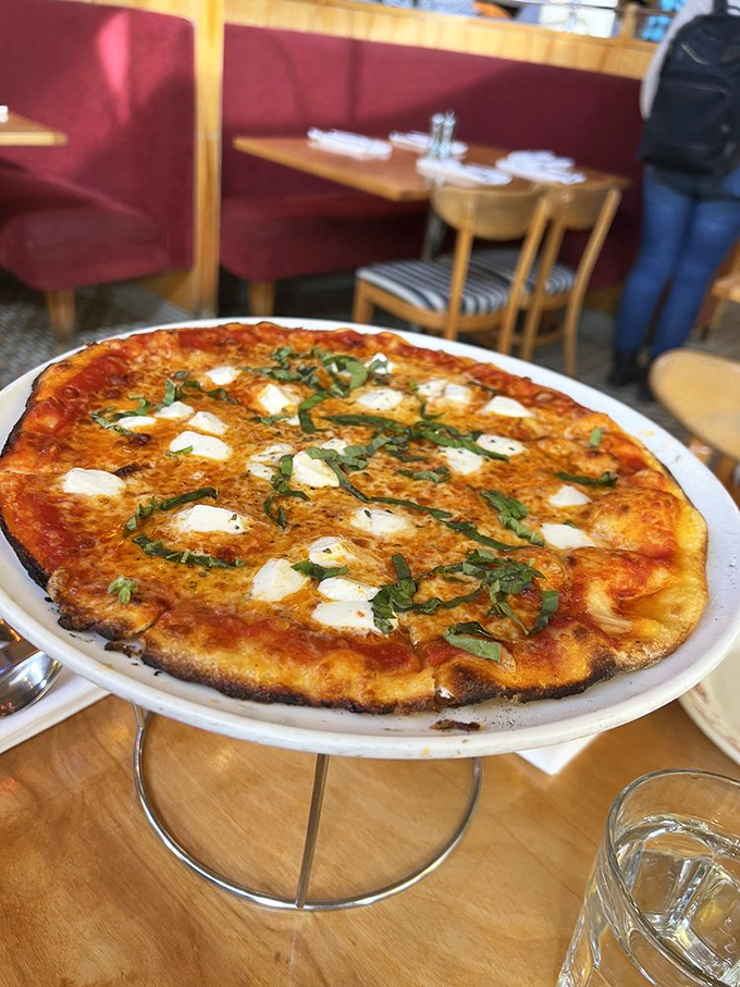 A margherita pizza that proves simplicity is the ultimate sophistication. That char on the crust? It's the pizza equivalent of George Clooney's salt-and-pepper hair&mdash;distinguished and irresistible.