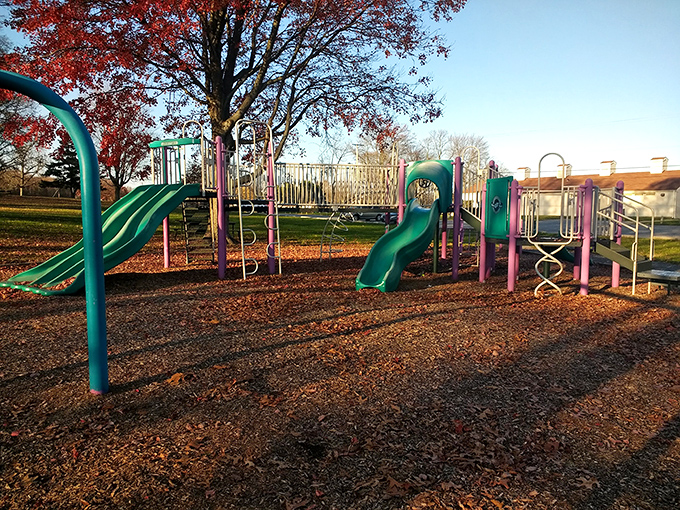 Childhood joy comes standard with these slides. Fall's auburn carpet beneath this playground proves fun follows every season at Rocky Point.