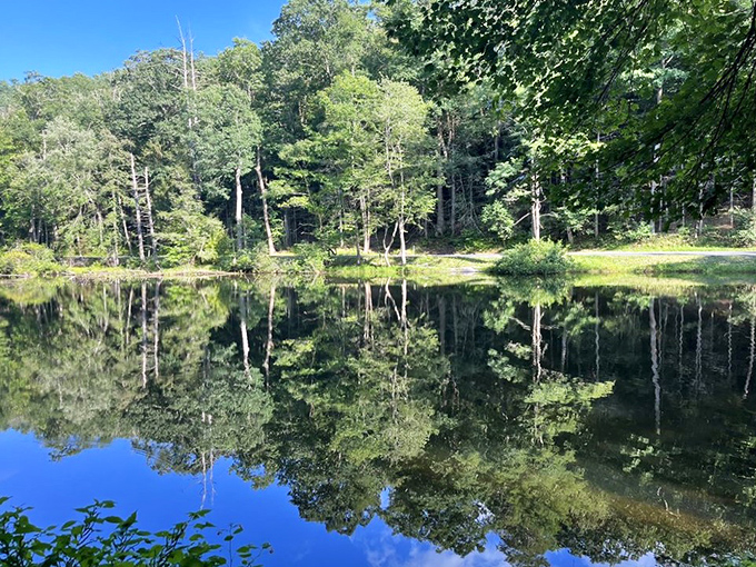 Mirror-smooth water reflects clouds like nature's own Rorschach test &ndash; what do you see?