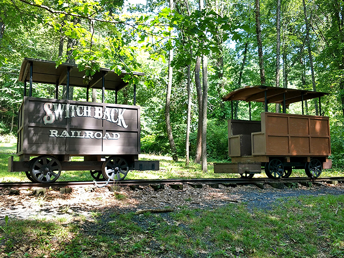 These vintage Switchback Railroad cars tell tales of America's first roller coaster – thrill-seeking has deep roots in these hills.