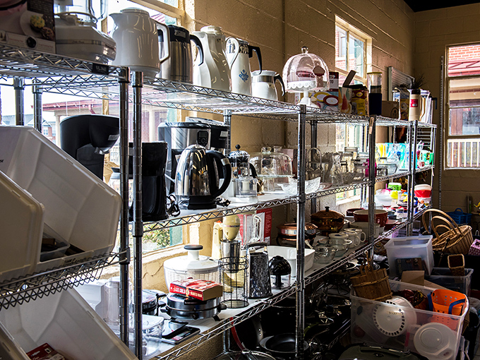 The beauty of thrifting captured in one shelf: where vintage glassware meets random knickknacks in a delightful jumble of American nostalgia.