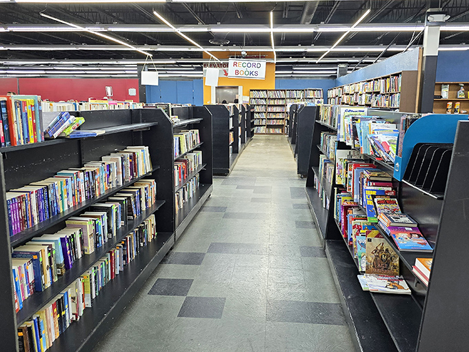 Literary treasures await between these shelves. Unlike algorithm-driven recommendations, here you discover books through genuine serendipity.