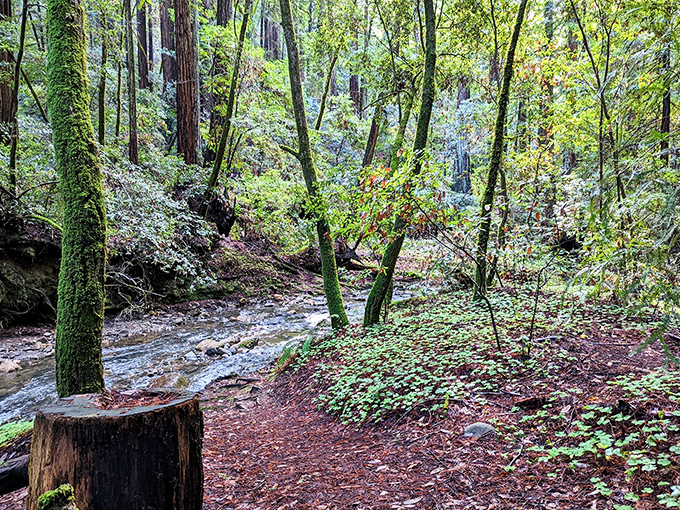Water finding its path of least resistance &ndash; a life philosophy worth adopting, especially when navigating holiday family gatherings.