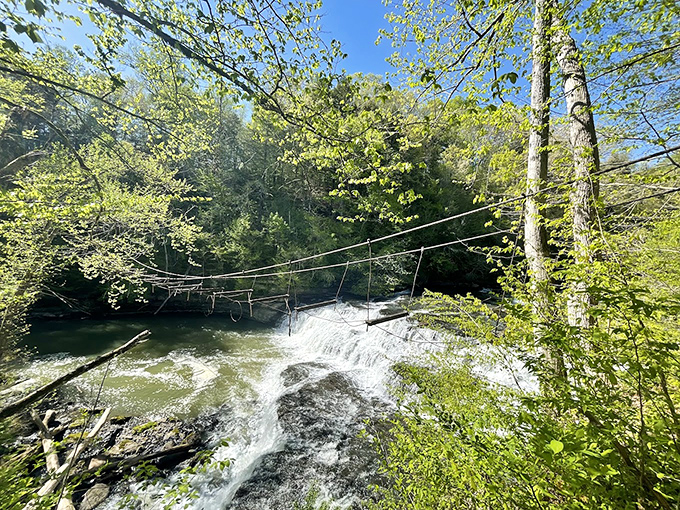 A rustic bridge spans the upper section, offering that perfect "should I cross it or just stand here taking photos forever" dilemma.