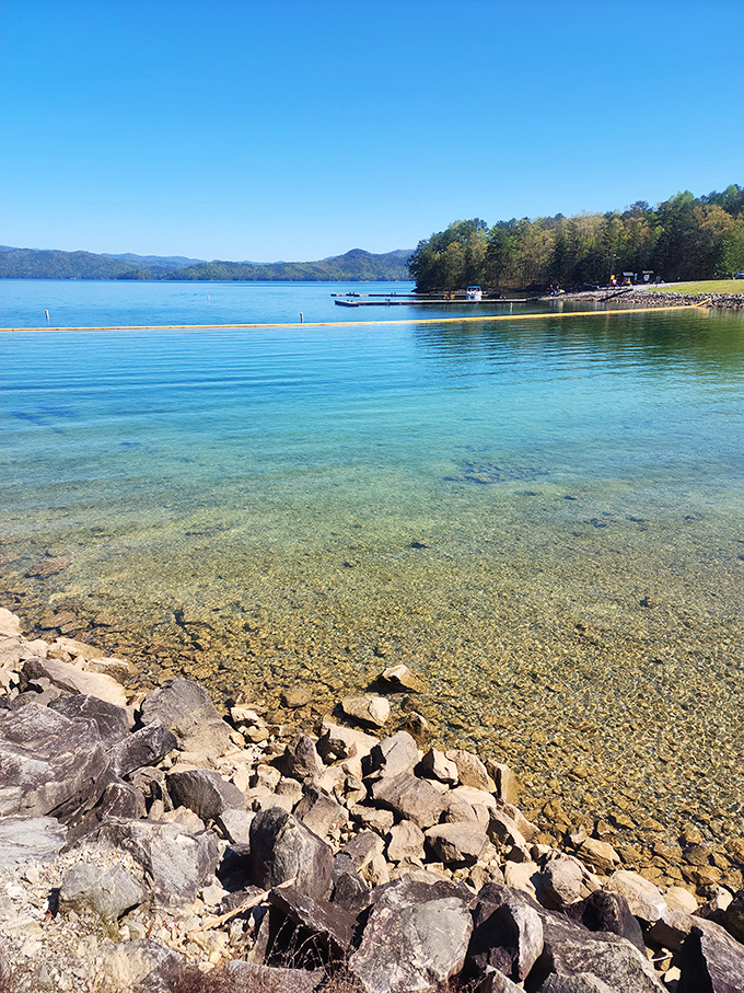 Water so clear it's practically showing off: Lake Jocassee's remarkable transparency reveals an underwater world that rivals any Caribbean destination.