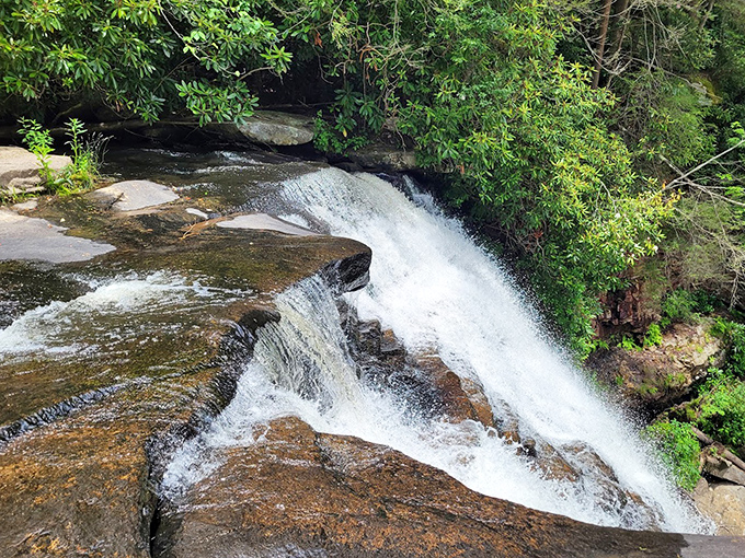 Water sculpts stone with infinite patience, creating miniature cascades that would make any landscape architect green with envy.