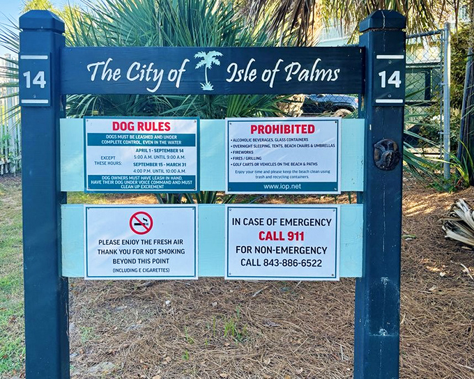 The official greeter of Isle of Palms, laying out all the rules with Southern charm. Dogs, emergencies, and fresh air&mdash;everything you need to know.