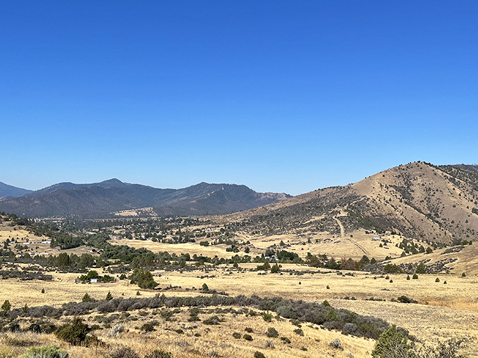 Rolling hills stretch toward the horizon in fifty shades of gold &ndash; California's version of wealth that doesn't fluctuate with the stock market.