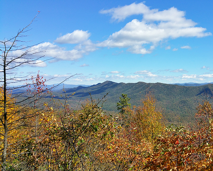 Fall in the Alleghenies puts on a show that makes Broadway productions look understated. Nature's palette at its most extravagant.