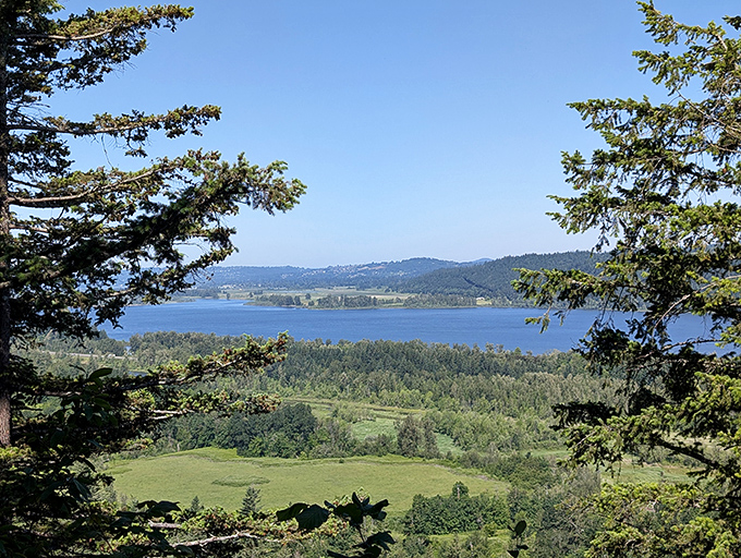 The Columbia River Gorge vista that makes smartphone wallpapers jealous. No filter needed when Mother Nature's already done the heavy lifting.