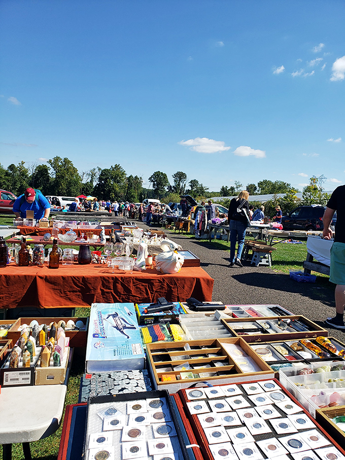 Coin collectors pore over trays of history you can hold in your hand. That penny might be worth more than your first car!