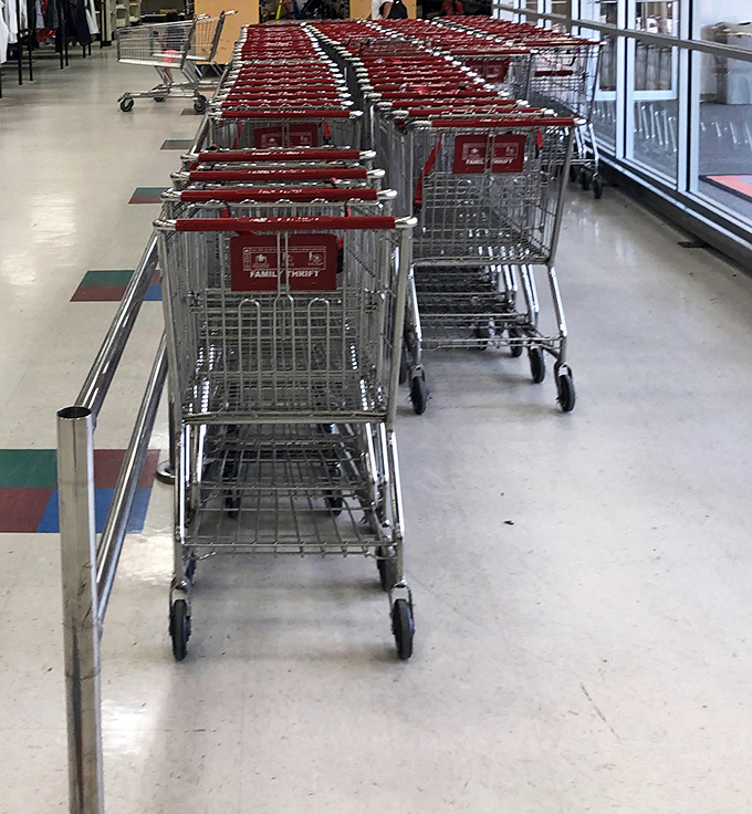 The shopping cart brigade waits patiently, each red chariot ready to be filled with unexpected treasures.
