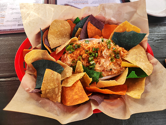 Colorful tortilla chips surrounding smoked tuna dip like eager fans at a concert. This appetizer has more groupies than a rock star.