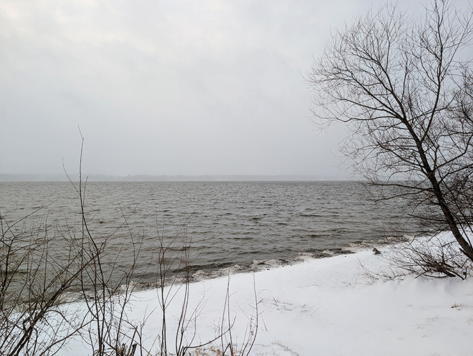 Winter transforms Pymatuning into a serene snowscape where the lake refuses to fully surrender to ice. Robert Frost would approve.
