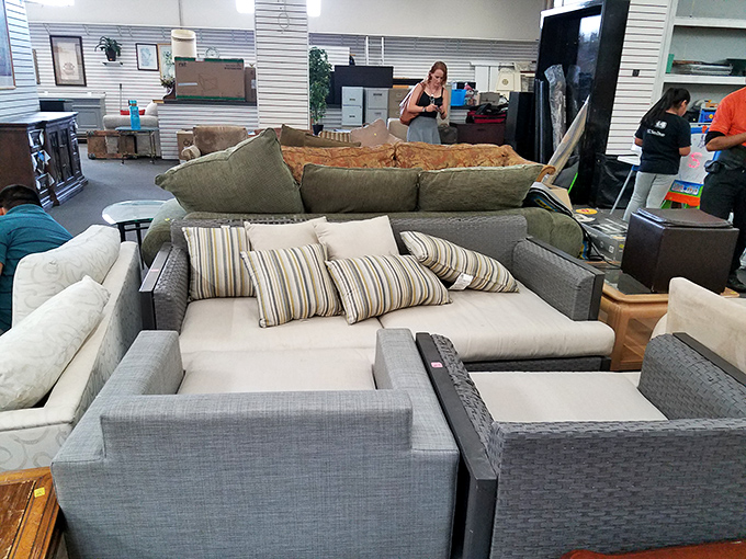 Living room auditions happening daily as shoppers test-drive sofas that range from "grandma's formal parlor" to "modern minimalist apartment chic."