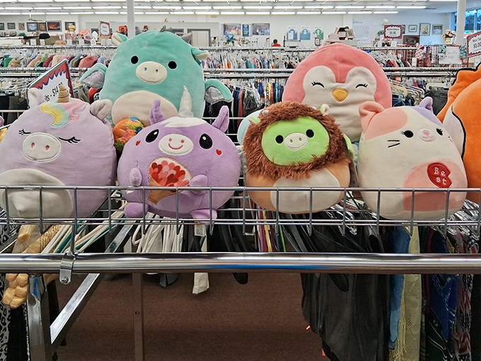 The plush squad! These colorful characters are ready for adoption, proving that even in adulthood, we're never too old for a cuddly companion.